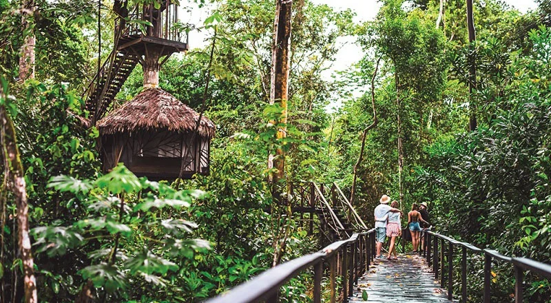 Amazonas - Excellents Tours - Un viaje mágico a la selva más grande del ...